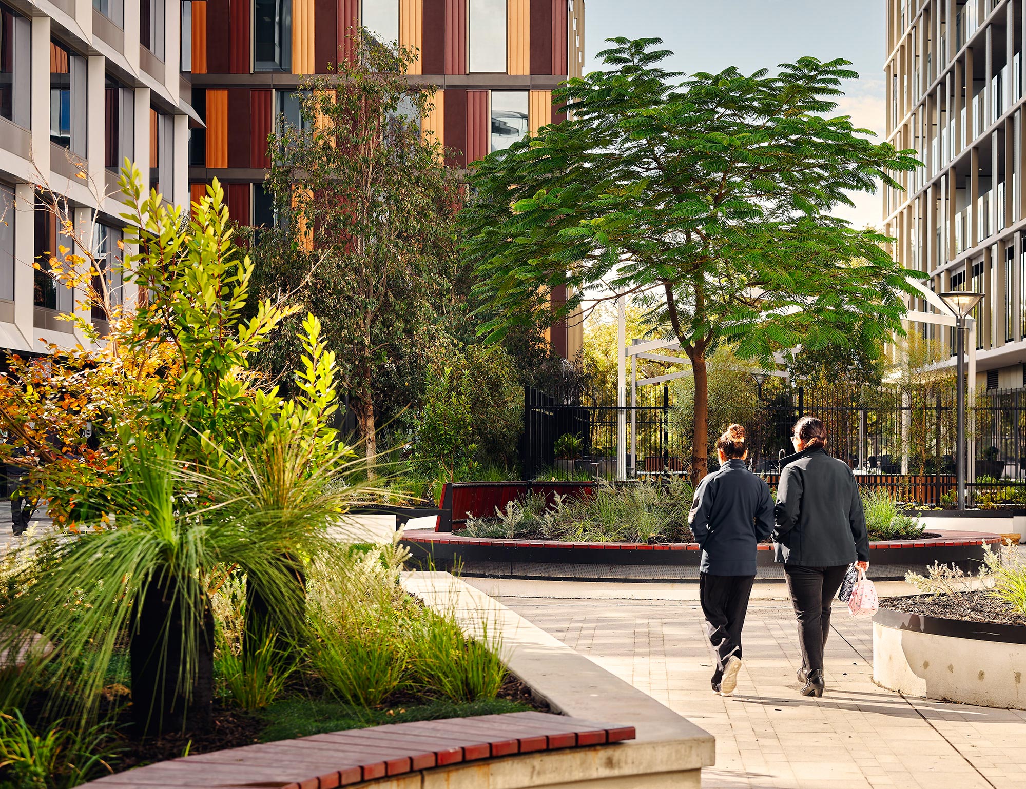 About us - Aegis Health